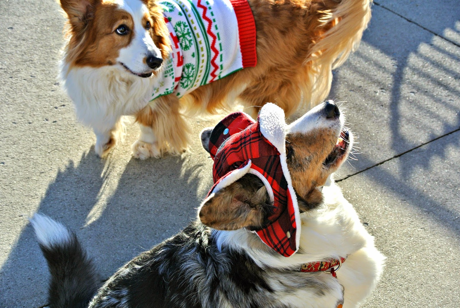 The Chronicles of Cardigan: Tacky Cardigan With Words on It, Squared ...