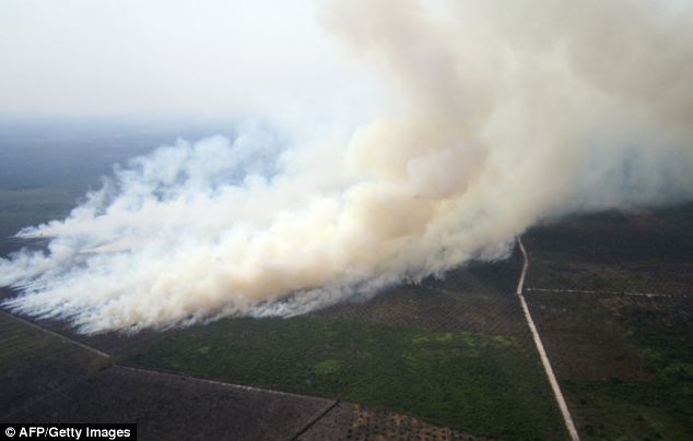 SEARCH HULK: HAZE PHENOMENON