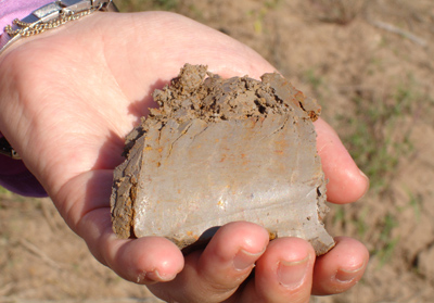 Do barro a vida. "Argila" pode estar na origem das células