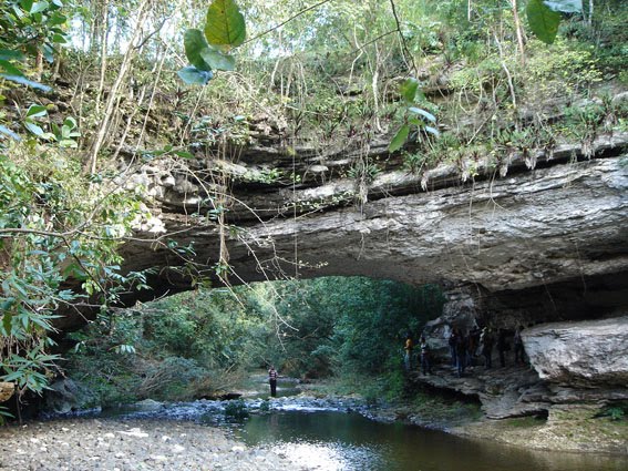ALDEA COTIDIANA: El rostro de los americanos de la United Fruit Sugar ...