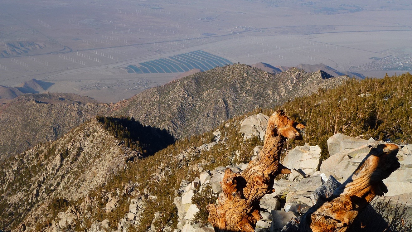 Peaks For Freaks: Snow Creek Trail to San Jacinto (S2S)
