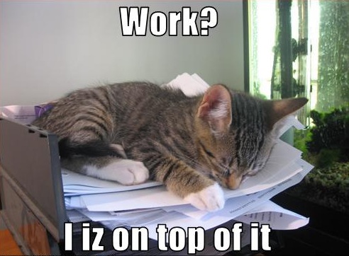 The Angry Scot: Busy Week Ahead.