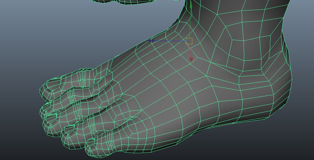 topology of leg human 3d - modelling, texturing, rendering, animation ...
