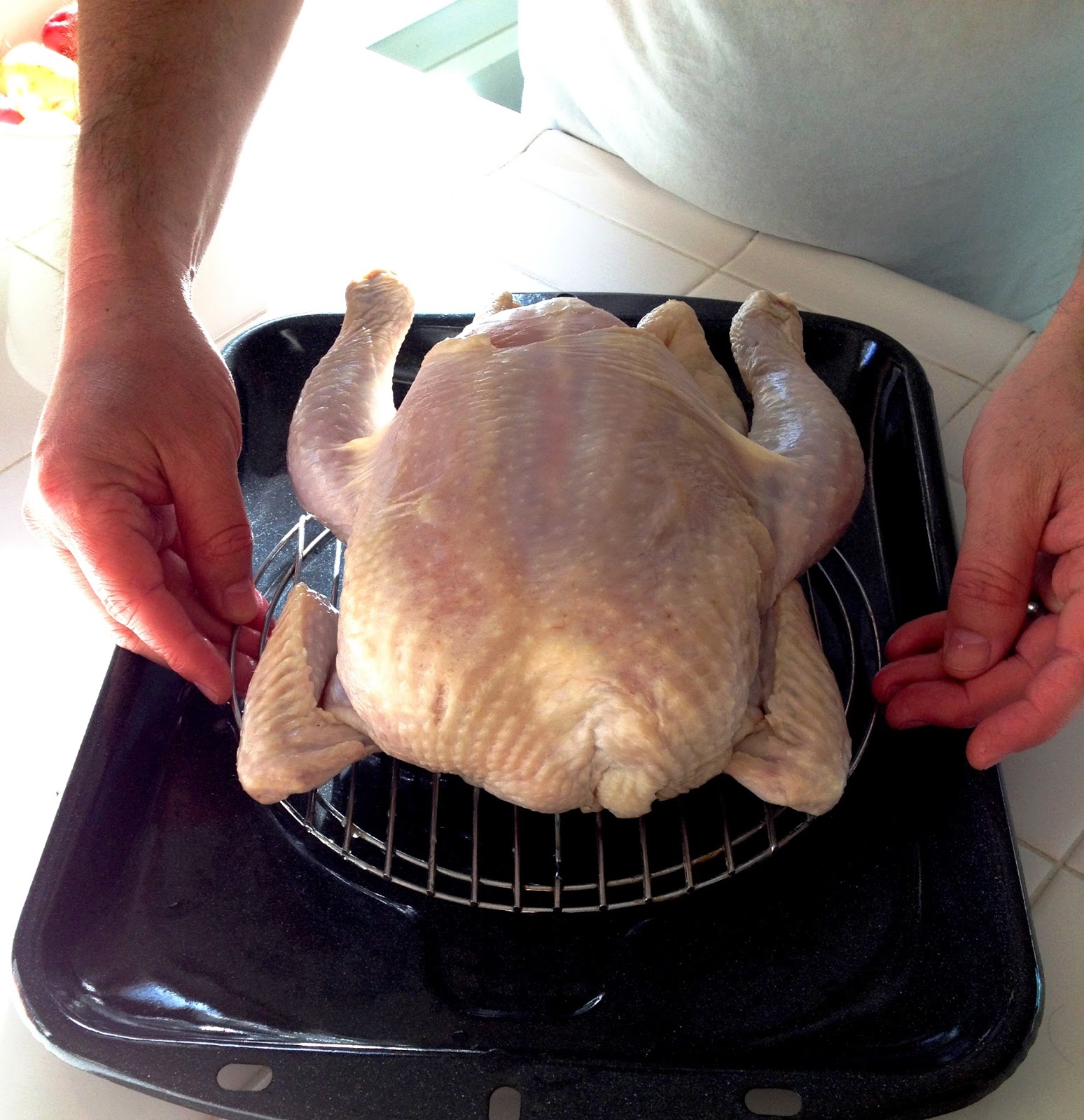 Entropy Kitchen: To Truss A Bird Without Twine