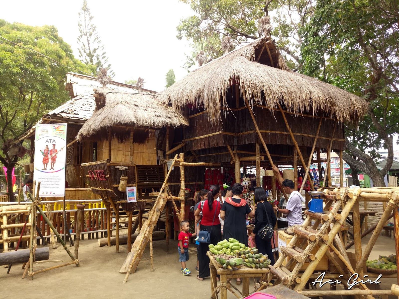 "Kadayawan" The Bonggaciously Celebrated Festival in Davao City ...