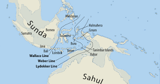 Paparan Sahul Adalah Istilah Untuk Menunjuk Pada Terhubungnya - Ahli Soal