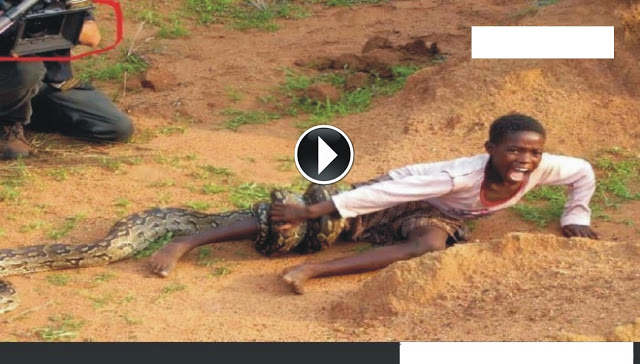 (WATCH VIDEO) Hunt for giant snake that ate 10-year-old Durban boy ...