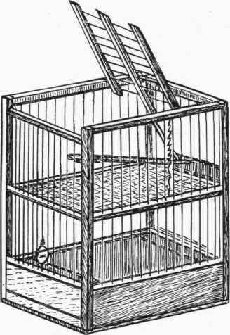 Drawing : The grid as a cage or trap
