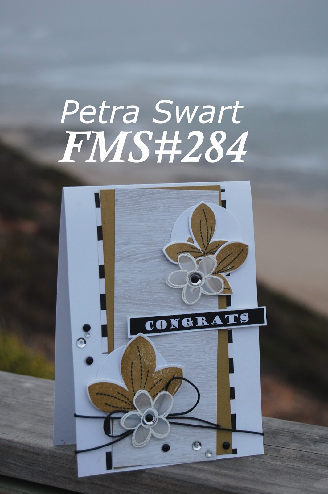 Kaartjie kreatief / Cards creative: FMS#284 and CTS#218