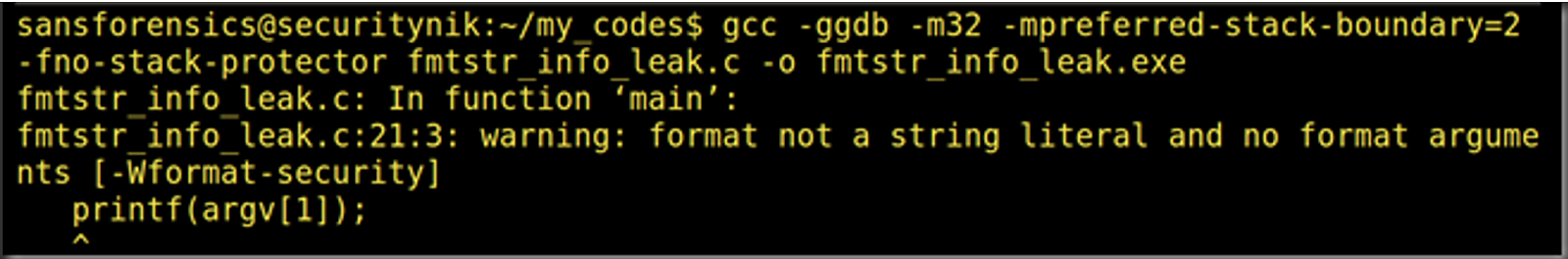 Learning By Practicing Format String Vulnerability Information Leakage