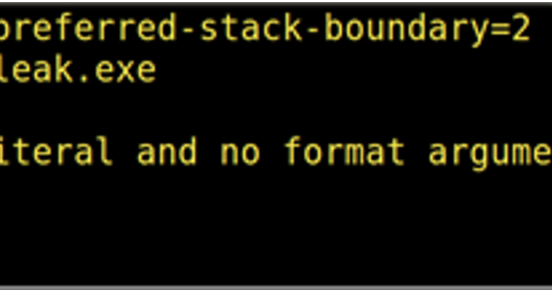 Learning By Practicing Format String Vulnerability Information Leakage