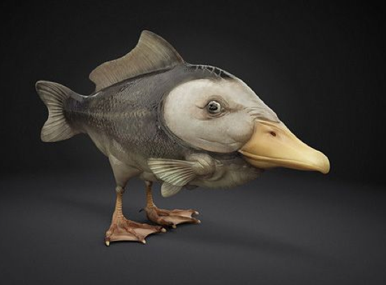 Ceramics: Animal Morph