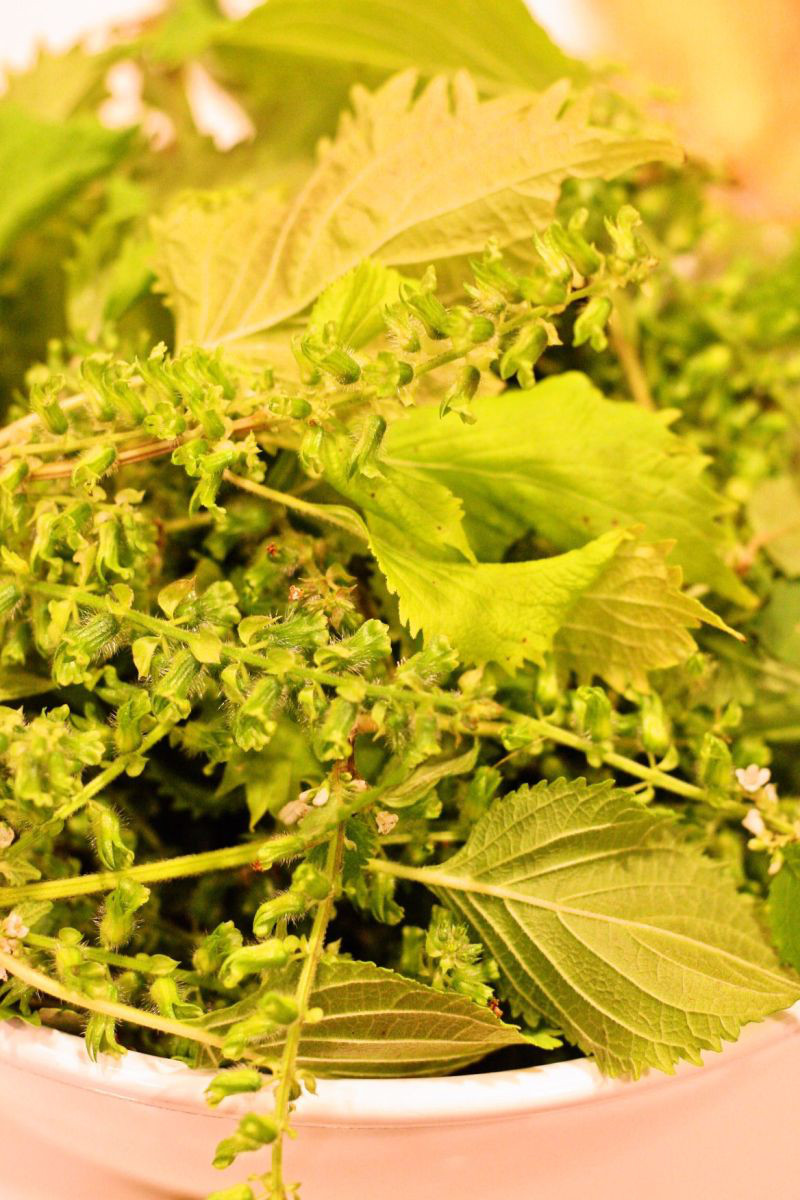 Perfectly imperfect : Soy Sauce Based Preserved Shiso Seeds
