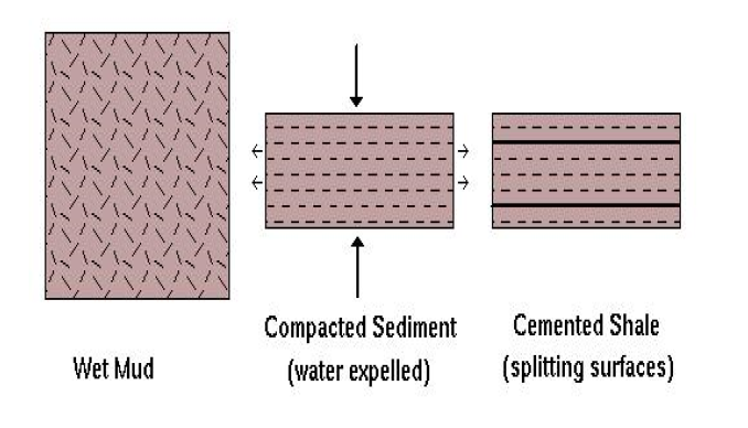 Tinjauan Pustaka Sedimen dan Batuan Sedimen - DIVERGEN M.O.R