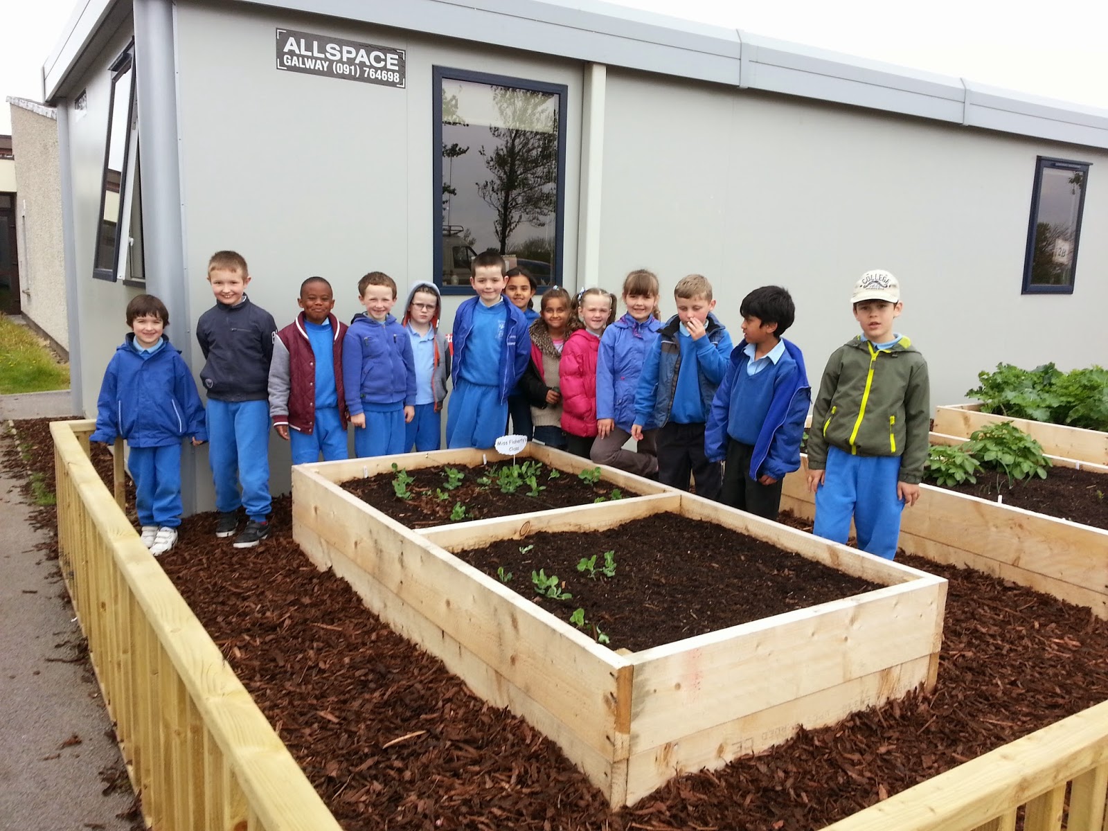 Science Projects: Class garden