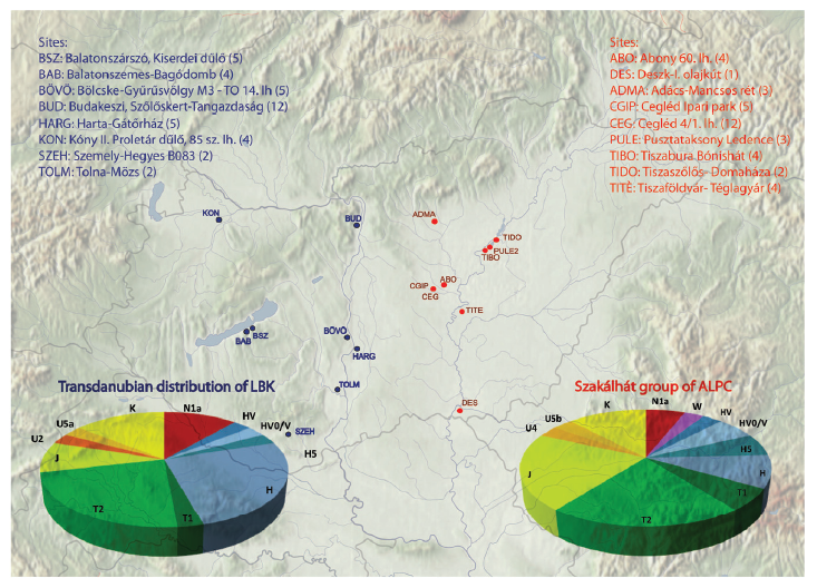 For what they were... we are: Hungarian ancient DNA and the origins of ...