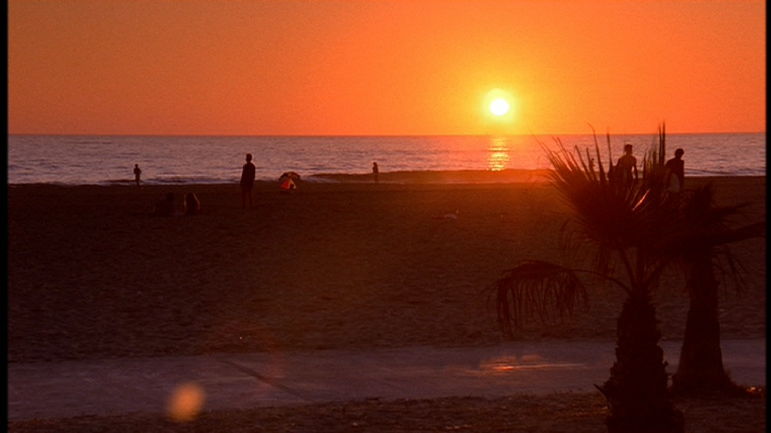 Happyotter: SUMMER SCHOOL (1987)