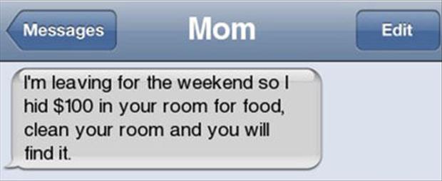Too Much Crap Not Enough Shovels The Funniest Texts From Mom Ever 20