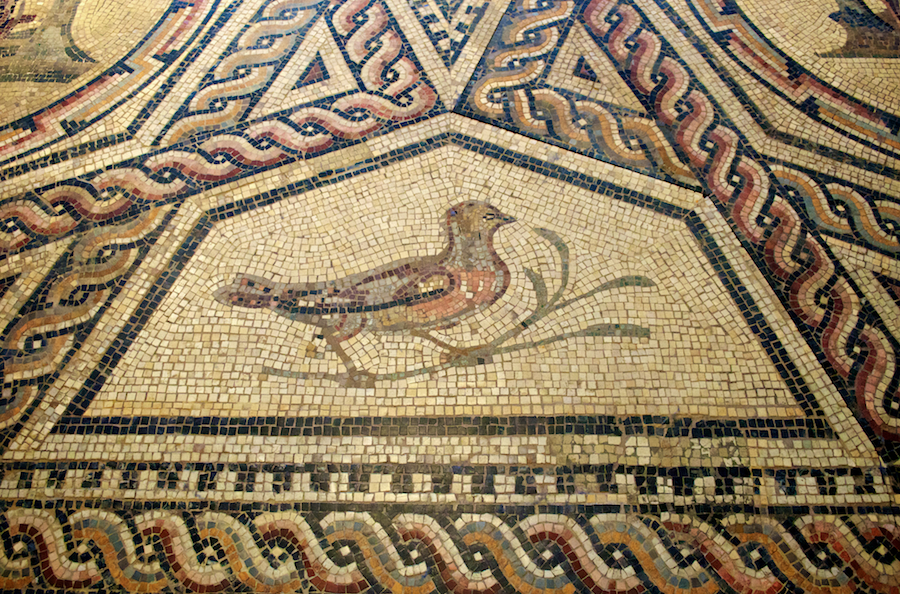 Tomatoes From Canada: The Museum of German History, Berlin