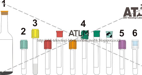 Urutan Memasukkan Sampel Darah ke Dalam Tabung Vakum — ATLM