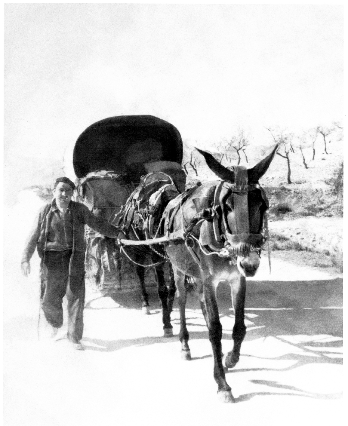 El Antiguo blog de Joaquín Medina 2020: Del espectacular cambio ...