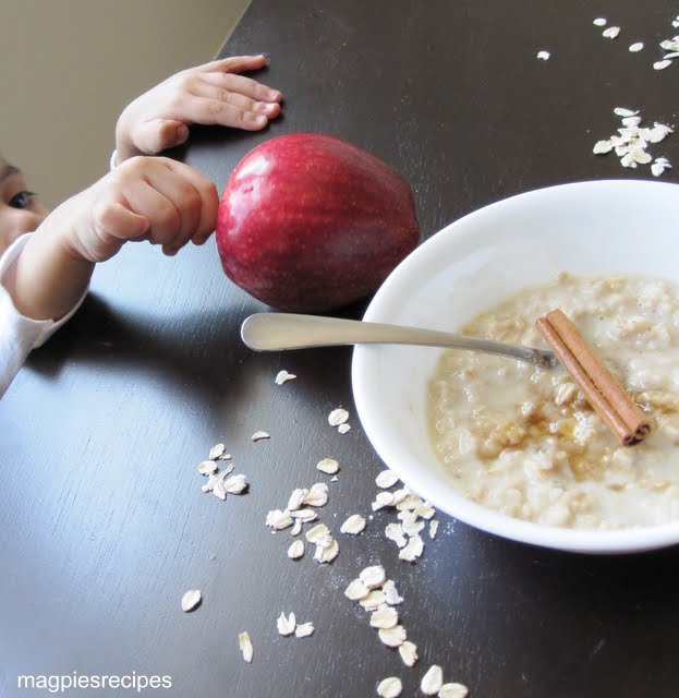 Magpie's Recipes: Apple Oatmeal Smoothie