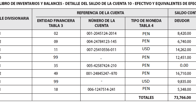 Libro De Inventarios Y Balances Electrónico - Detalle Del Saldo De La ...