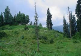 Pakistan Visiting Plases: Galyat Pakistan