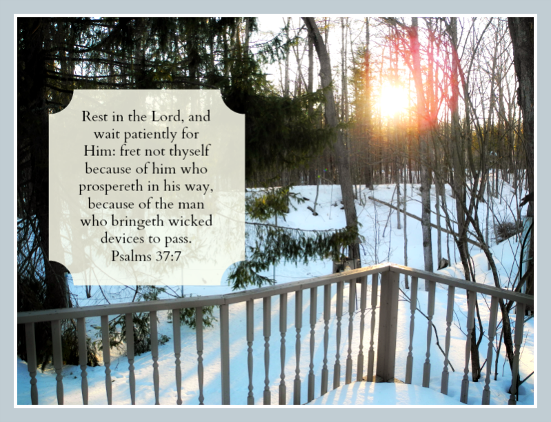 A Haven for Vee: Psalm 37:37