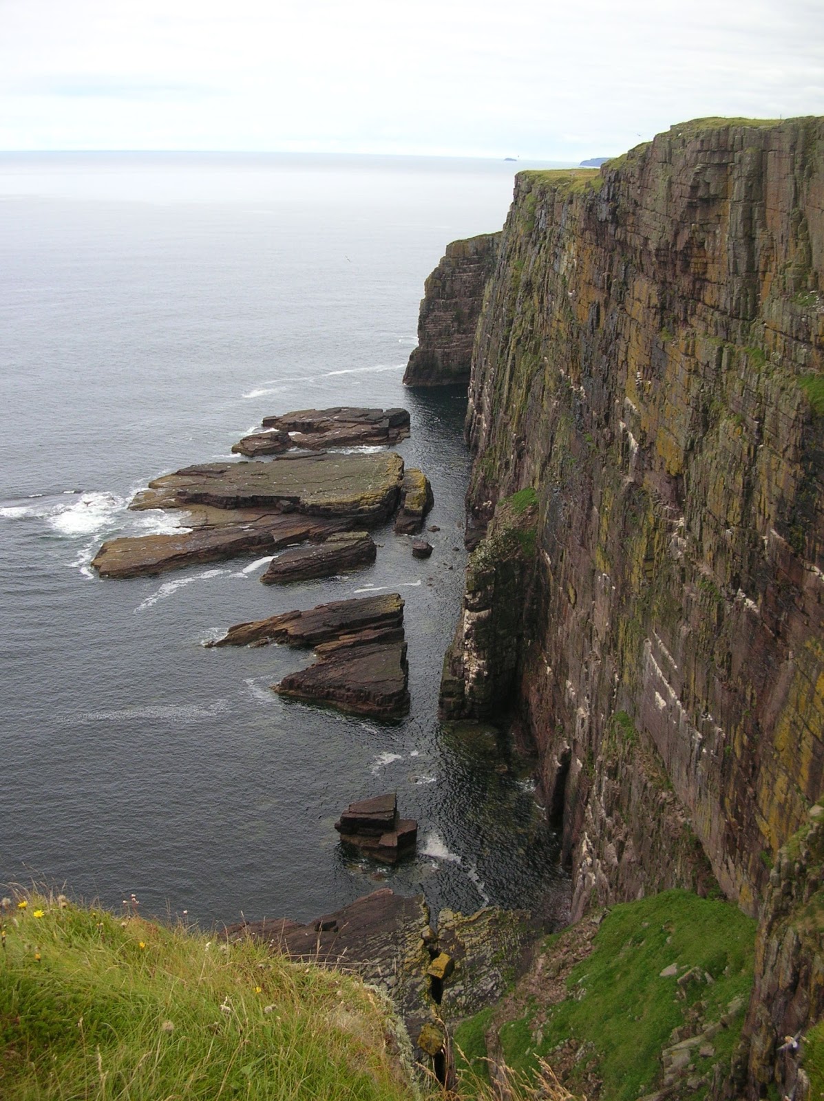 A lifetime of Islands: Island 153 - Handa Island, Sutherland