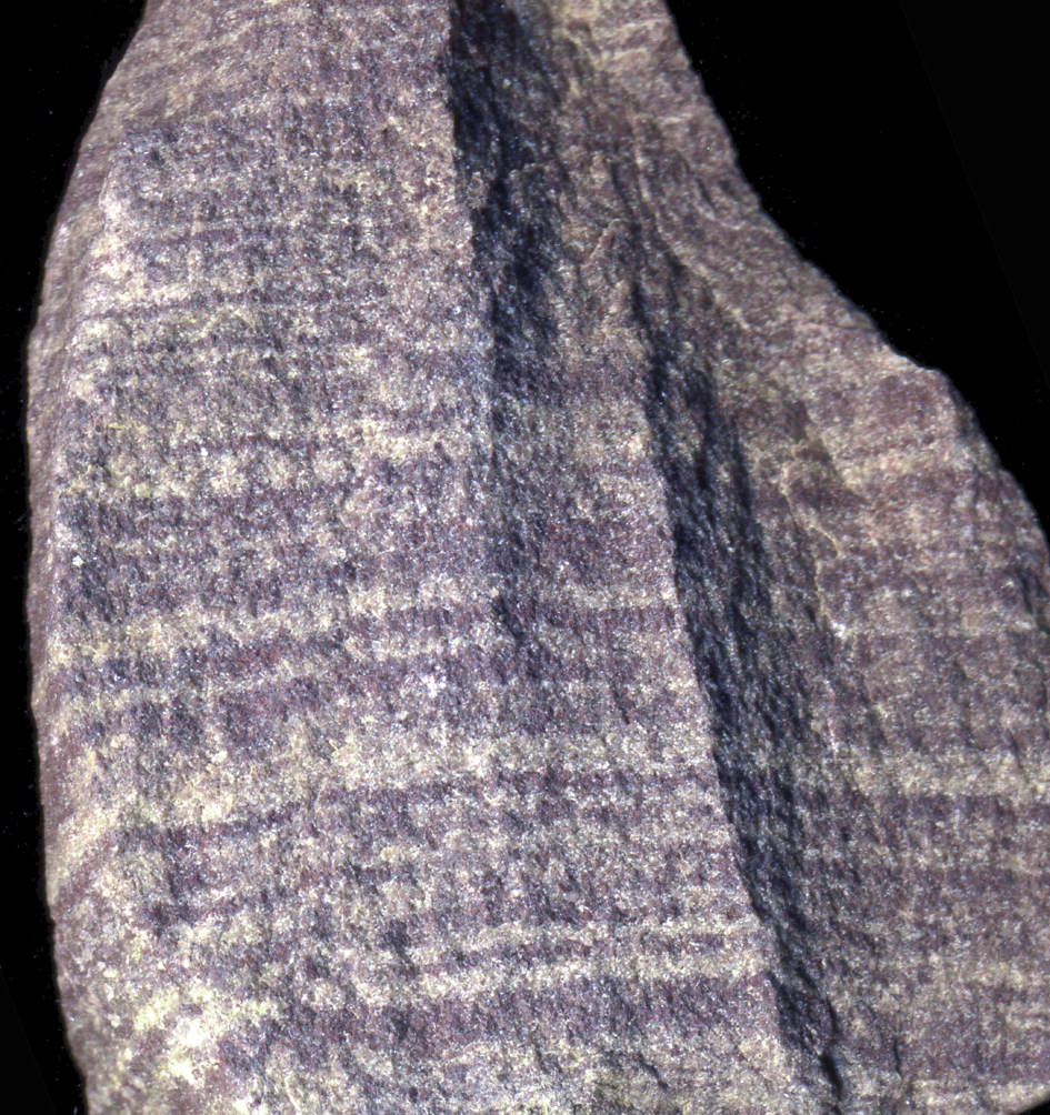 Minerales y rocas de Andalucía: Rocas sedimentarias