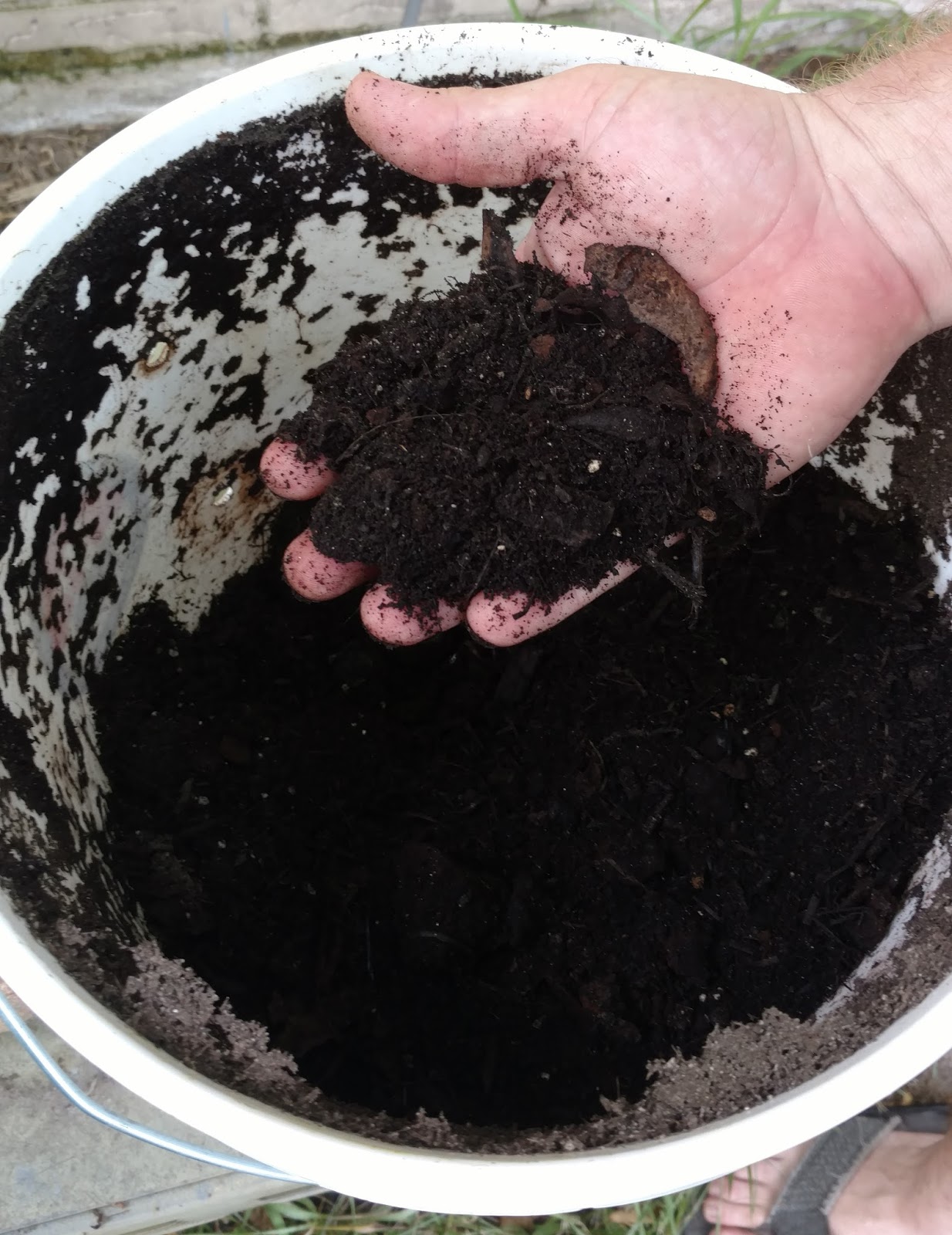 DeannaWelch.com: Week 4 Bear: Fur, Feathers and Ferns for Combined Dens