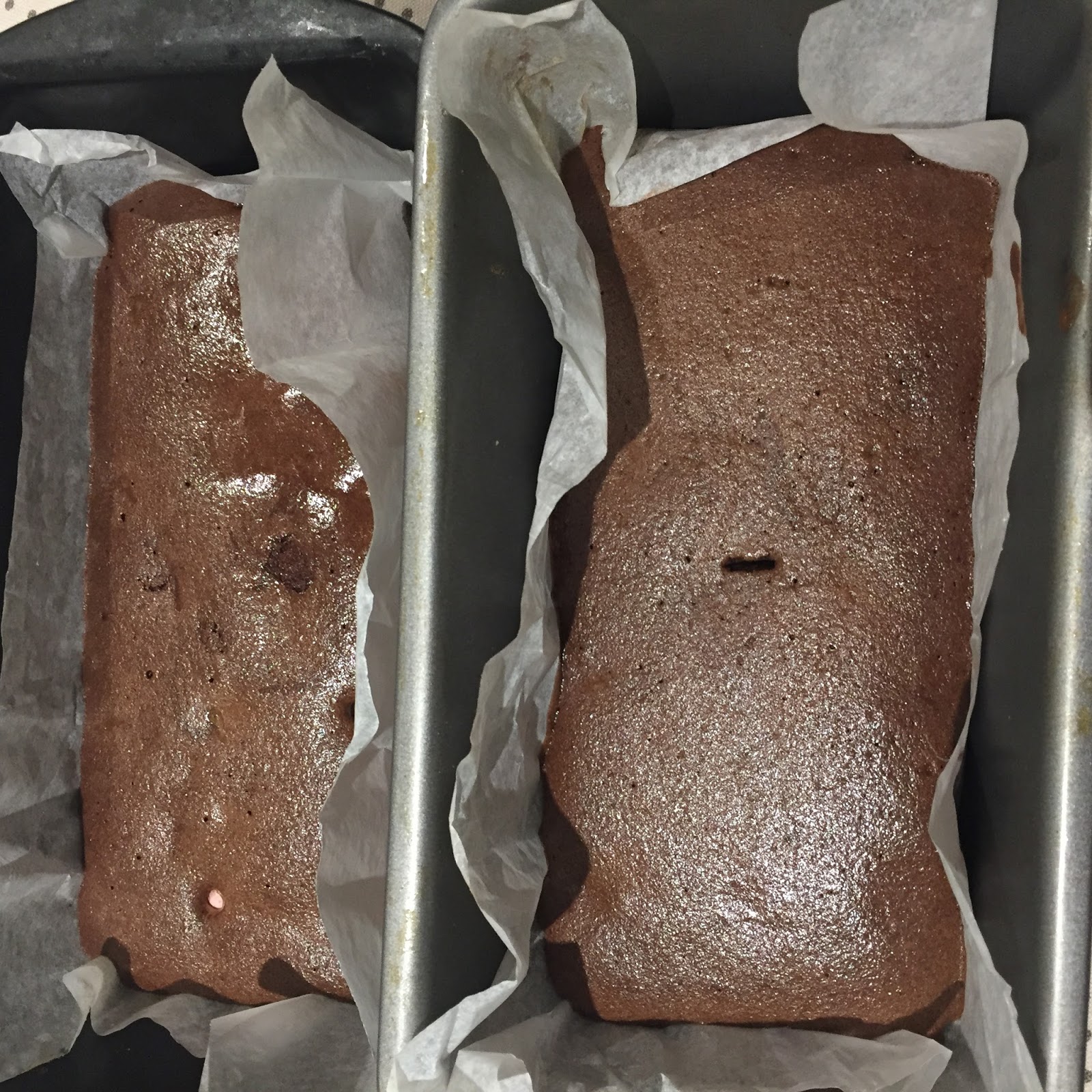 Archived Reviews From Amy Seeks New Treats: Creative Nature Chia ...