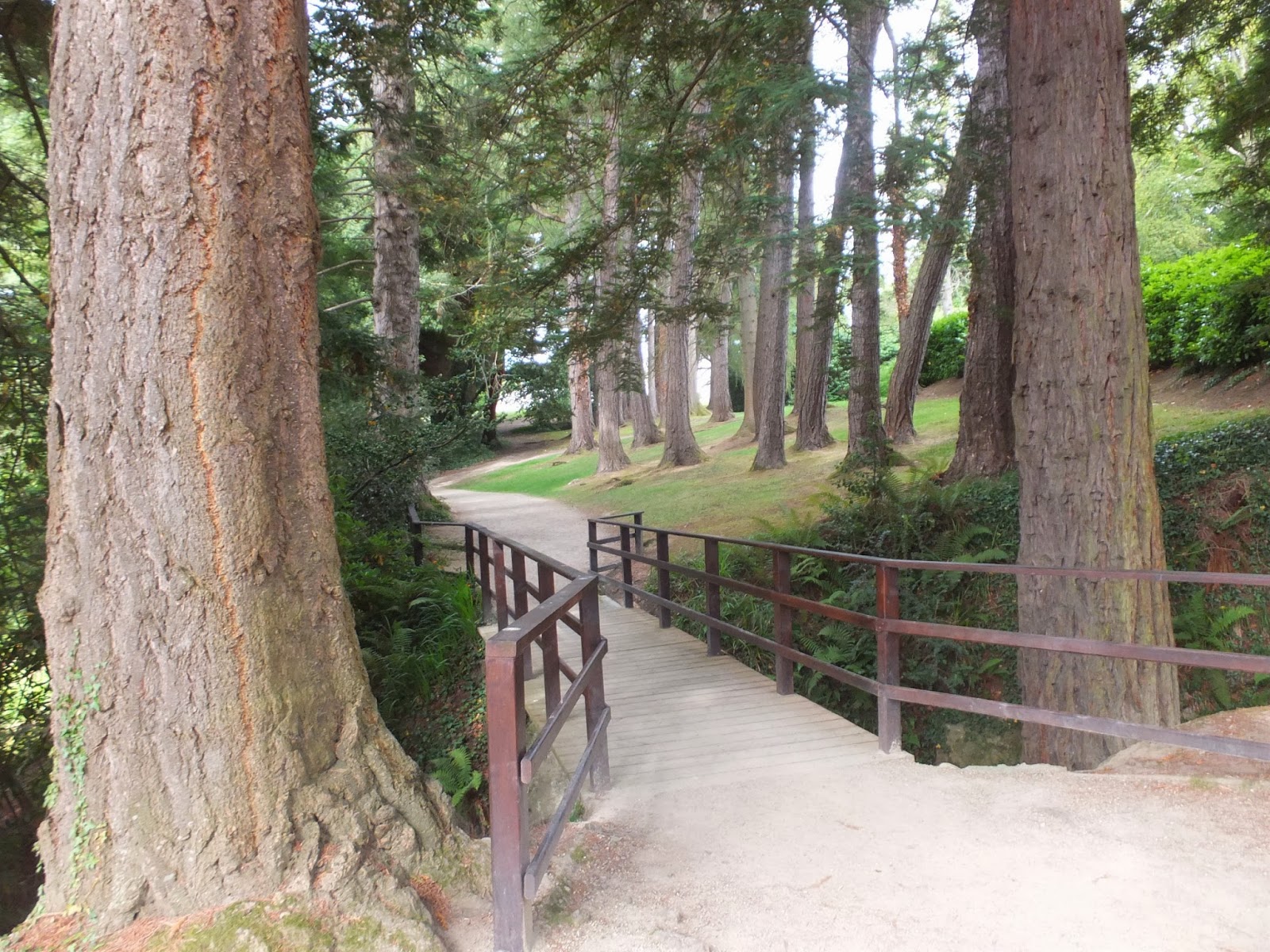 27 Thousand Waves: Dublin, Ireland - Day 6