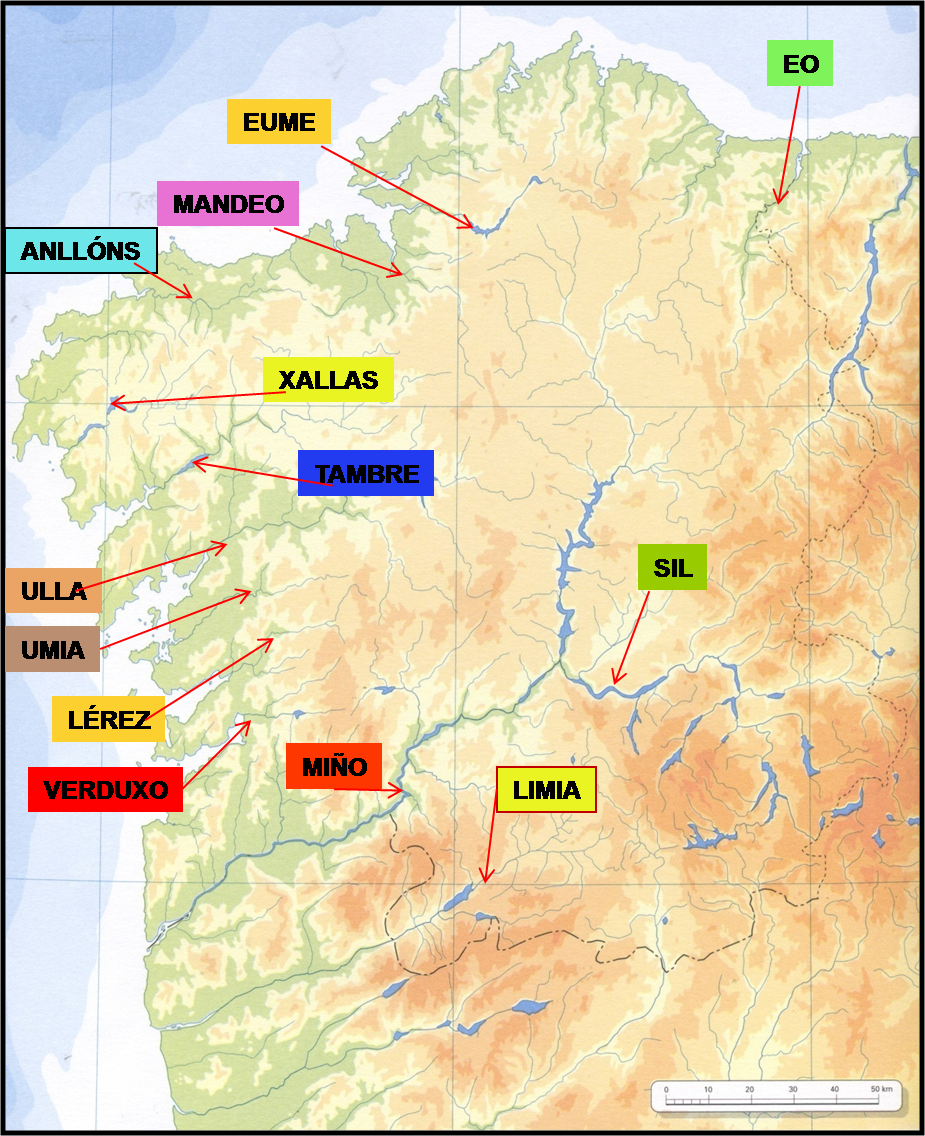 Xeografia Historia: Rios de Galicia