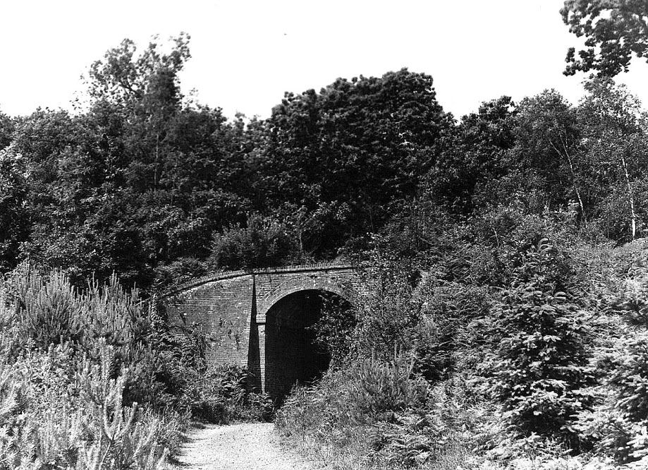 the rail thing: A hot day near Selham 1977