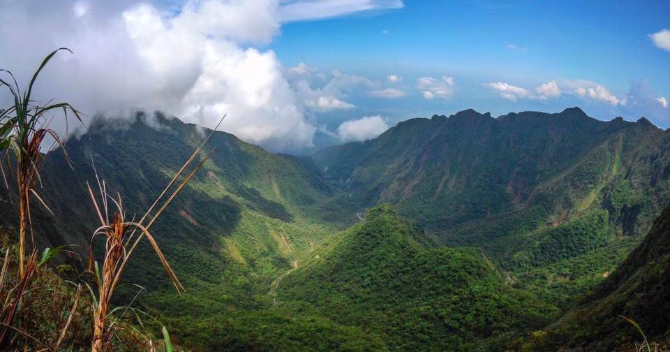 Magayon na Isarog - Mt. Isarog via Panicuason Trail (Day Hike ...
