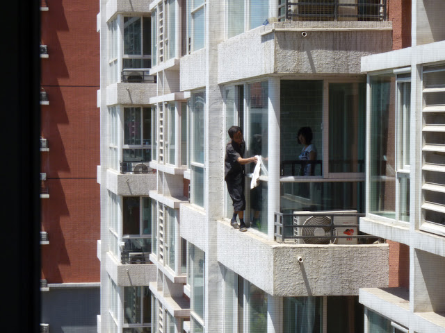 The Schiller-Childs Family: Crazy Window Cleaner