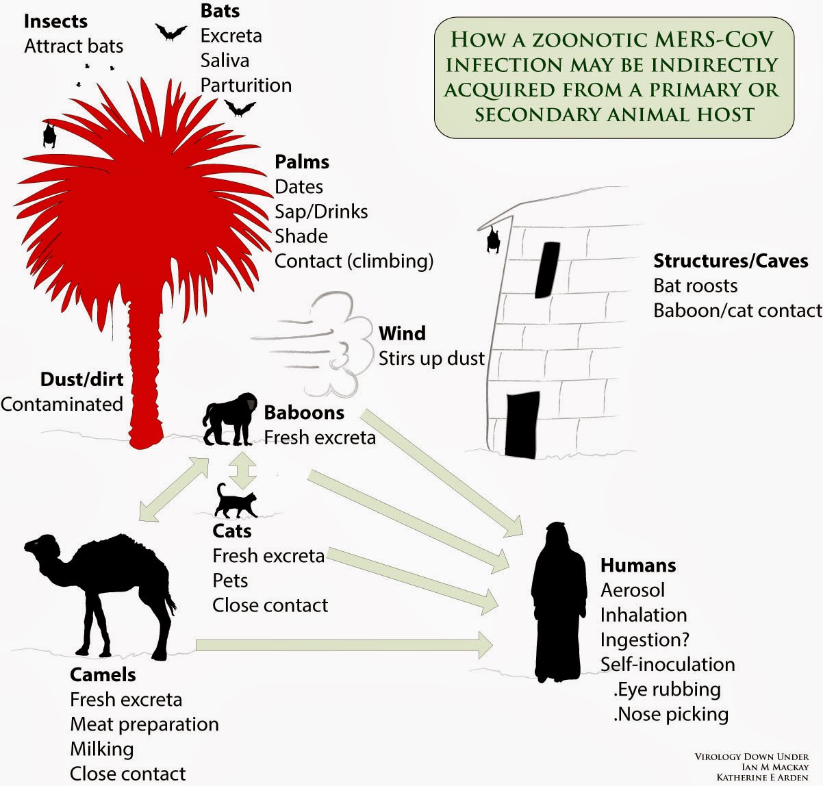 Mers - JungleKey.in Image