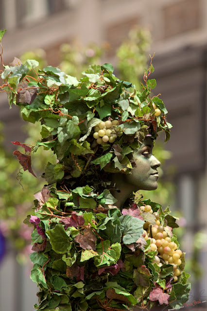 Derek Brad Photography: The Living Vines: PIFA Street Fair