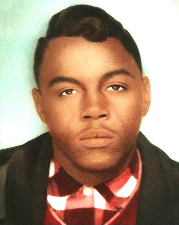 La gata bajo la lluvia