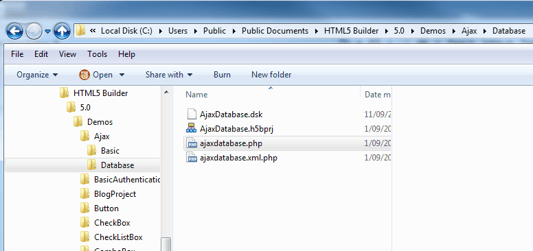 Learning Embarcadero HTML5Builder