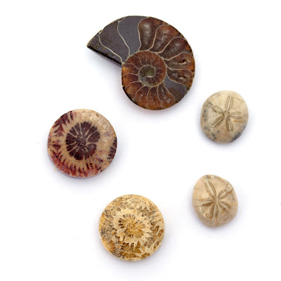 Metal Musing: Ocean Treasures: Choosing Stones for the Seaside Collection