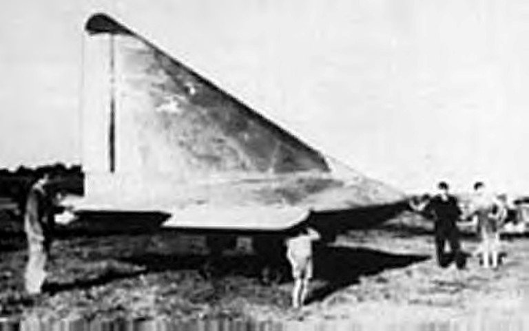 tantalos: LIPPISCH P.13a