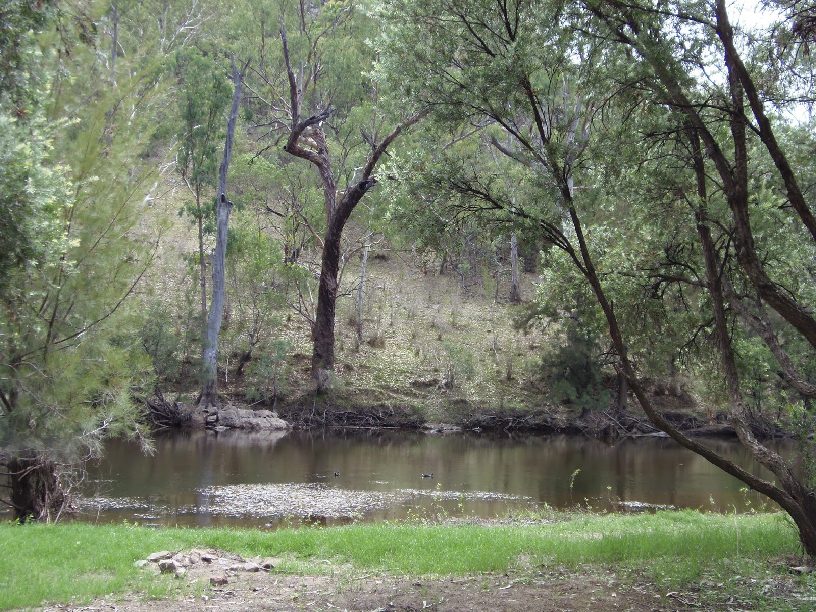 Solo Steve On The Road: BEAUTIFUL BINGARA NSW - REVISITED