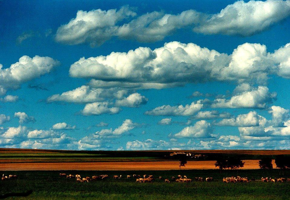 Bir birinden En Güzel 78 Tane Doğa Resimleri - Resim - Fotoğraflar Galeresi