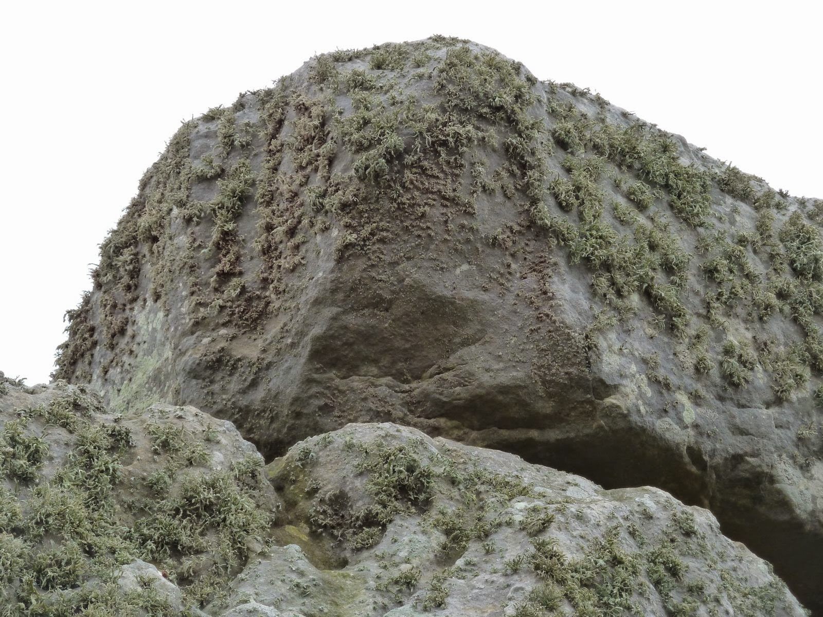 The Stones of Stonehenge: Stone 105