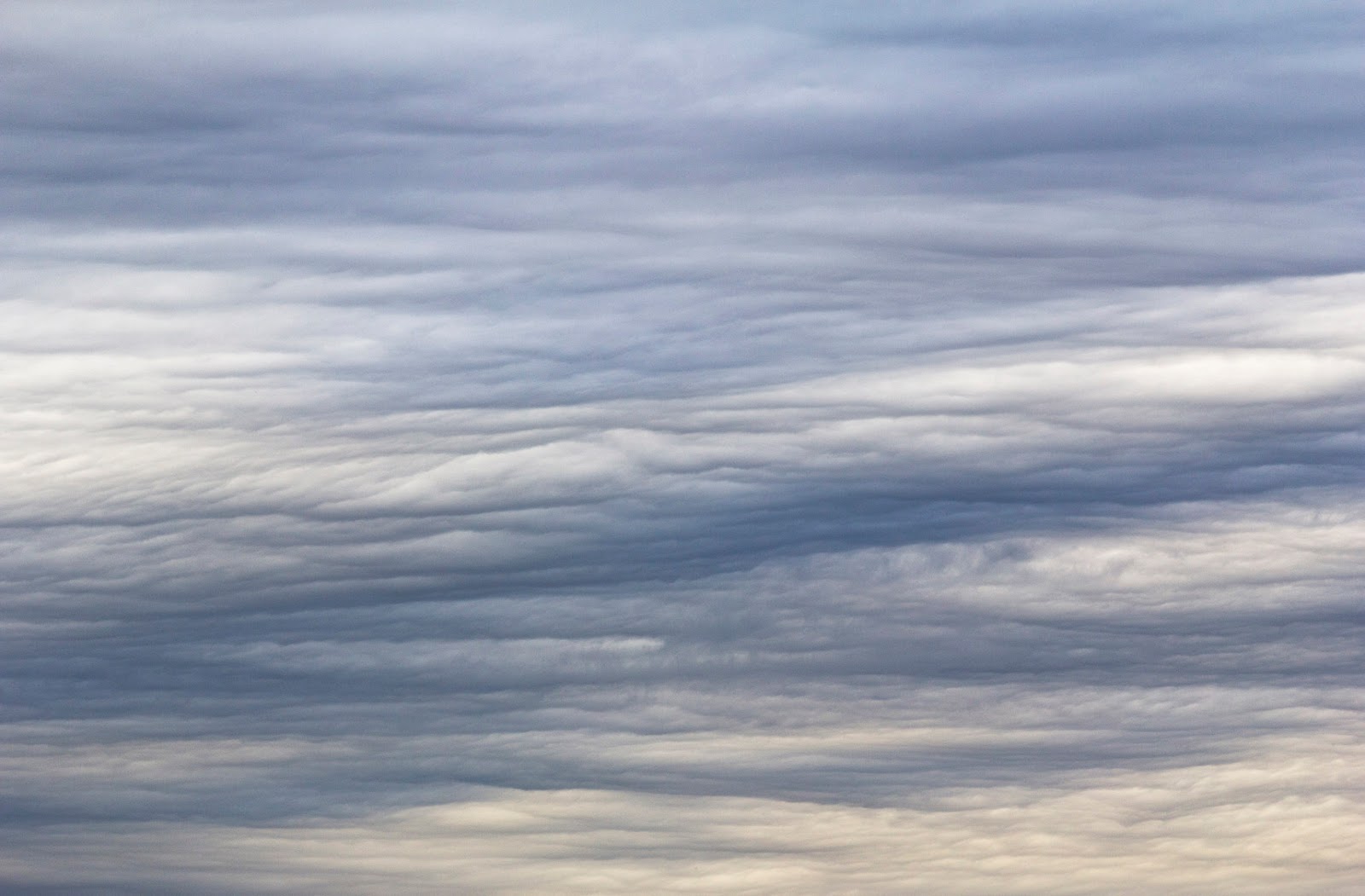 Giulio Bertelli Photographer