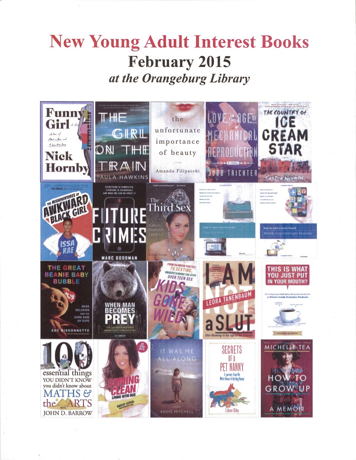 ORANGEBURG LIBRARY BLOG: New Young Adult Interest Books